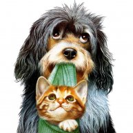 Иконка канала Приколы с котами, приколы с собаками!