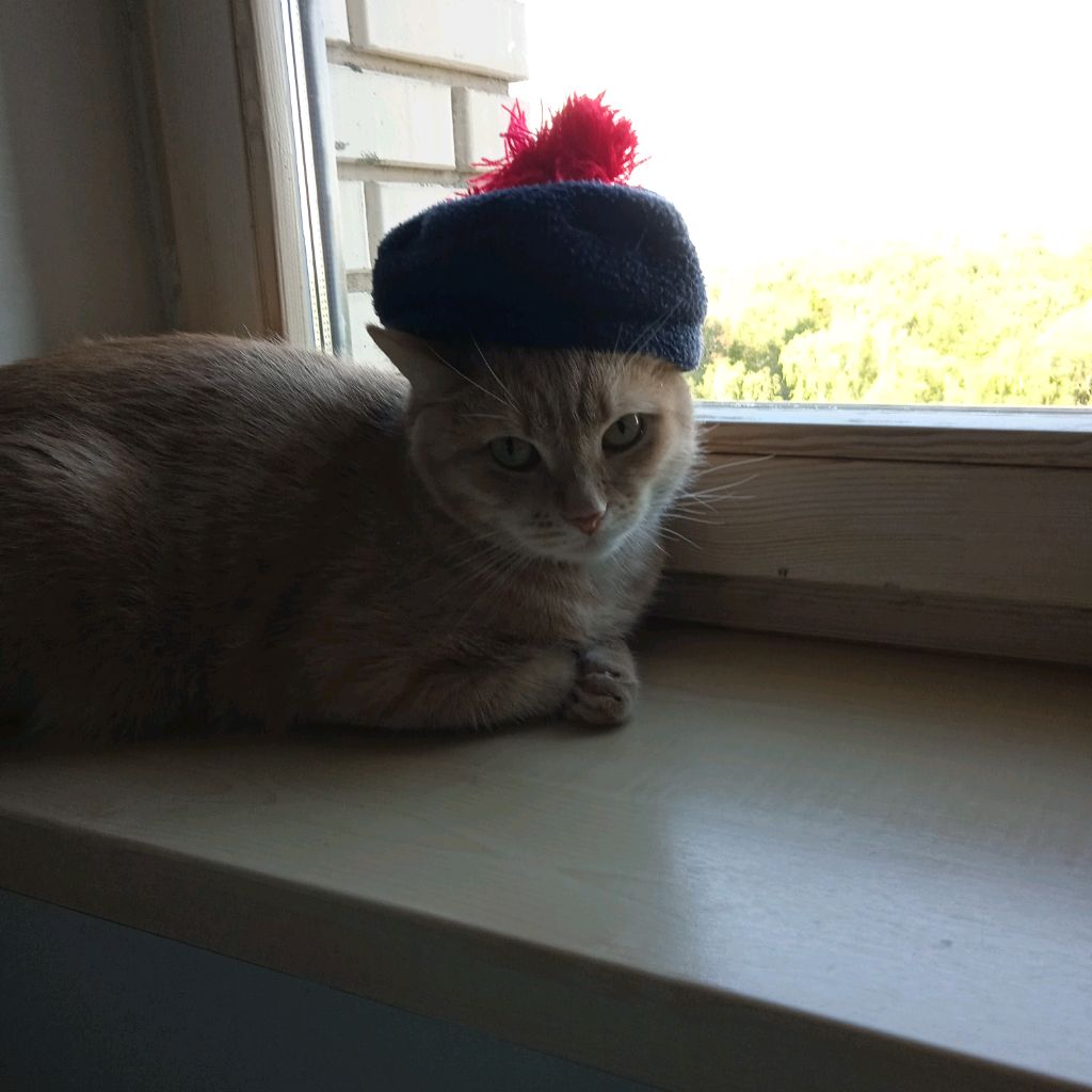 Иконка канала Гордей.Go поехали