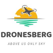 Иконка канала DRONESBERG