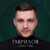 Иконка канала Гаврилов Дмитрий