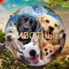 Иконка канала ЖИВОТНЫЕ