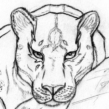 Иконка канала Холостяцкий блог