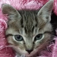 Иконка канала БЕРЕГИНЯ.ВЯЗАНИЕ.