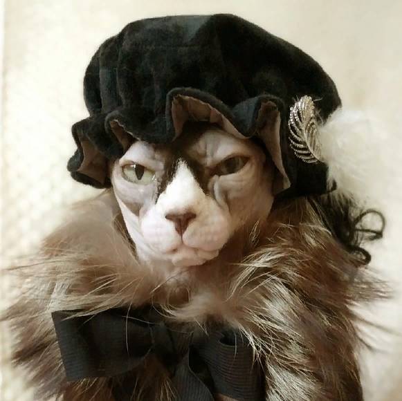 Иконка канала PARTY life