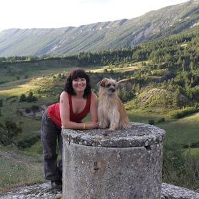 Иконка канала Briard.RU