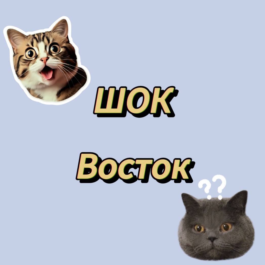 Иконка канала Шок Восток