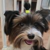 Иконка канала Lucky JU