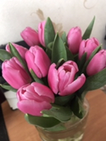 Иконка канала ЖИВЕМ И ПУТЕШЕСТВУЕМ  ВМЕСТЕ