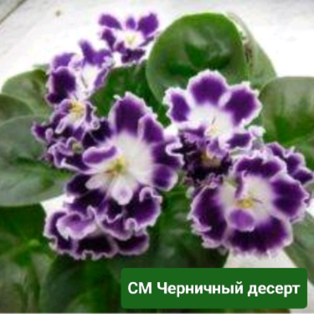 Иконка канала Мир увлечений