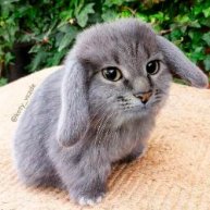 Иконка канала Зацепка