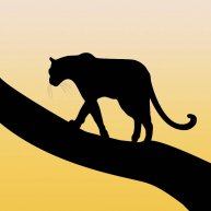 Иконка канала ПАНТЕРА | Таро Гадание Онлайн