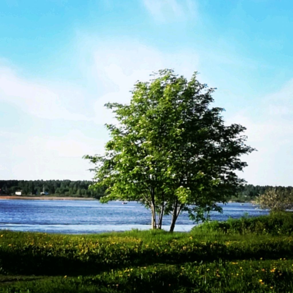 Иконка канала Про100_та channel35416742