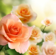 Иконка канала Светлая дача