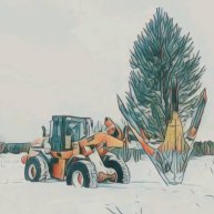 Иконка канала питомник деревьев Сервис БиС