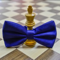 Иконка канала Школа Шахмат Chesswave