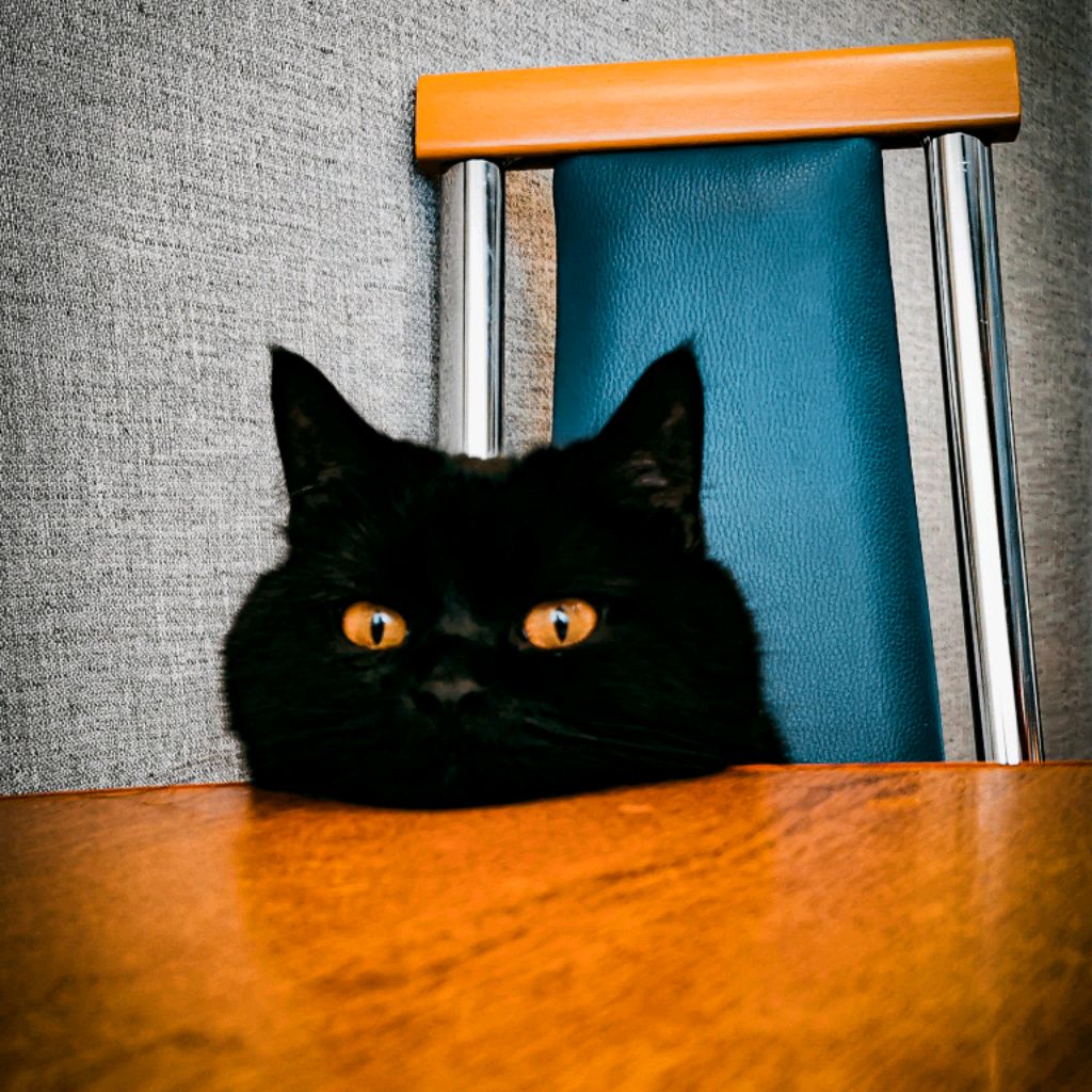 Иконка канала Роман