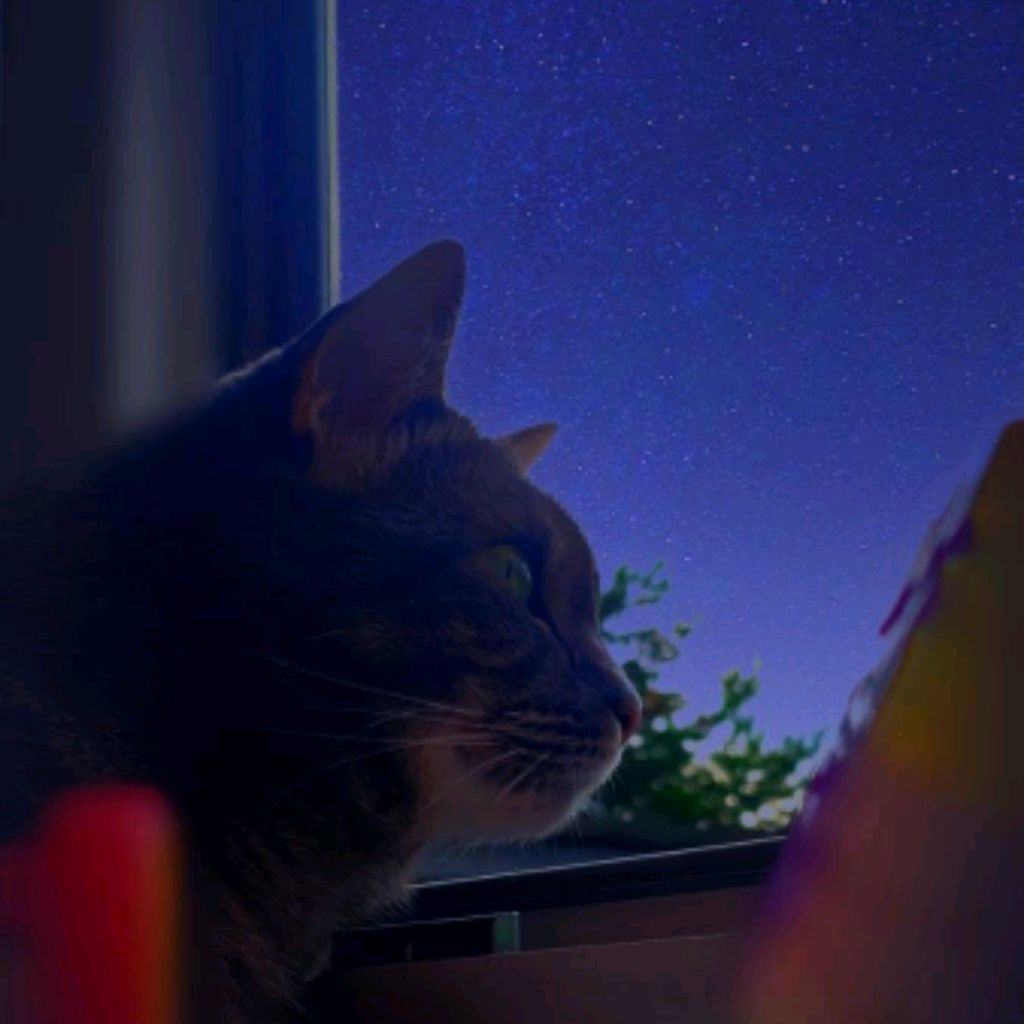 Иконка канала Котейка - Клеопатра