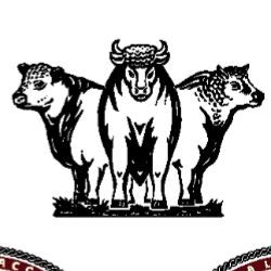 Иконка канала NSPG