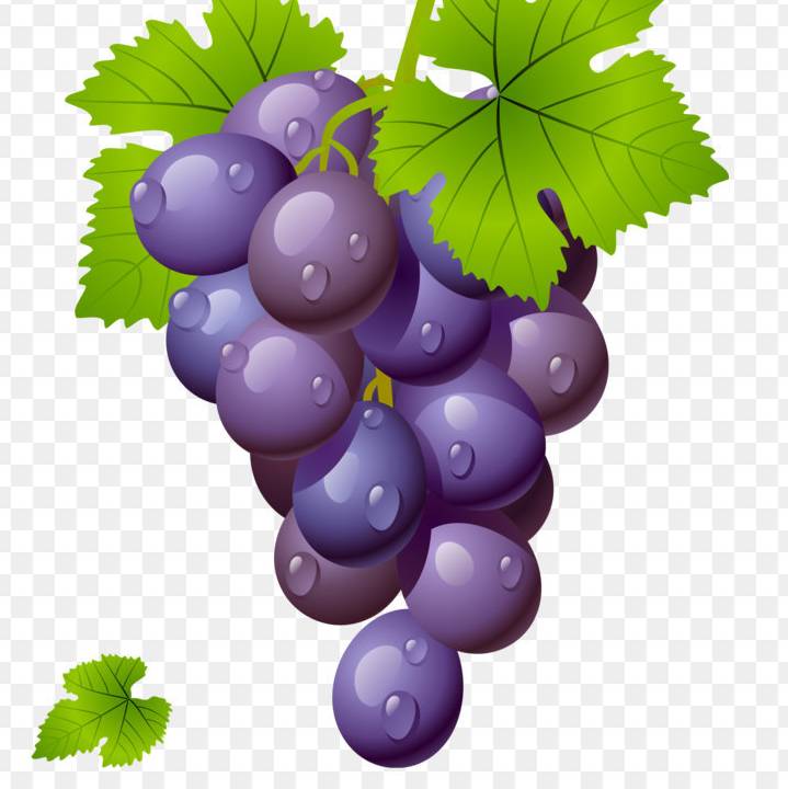 Иконка канала ВИНОГРАДНЫЙ РАЙ