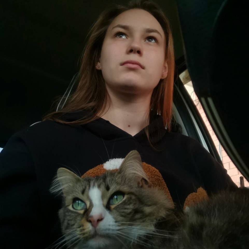 Иконка канала Taddy