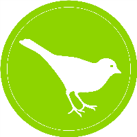 Иконка канала Флор Плюс