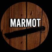 Иконка канала Marmot