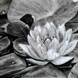 Иконка канала Ira