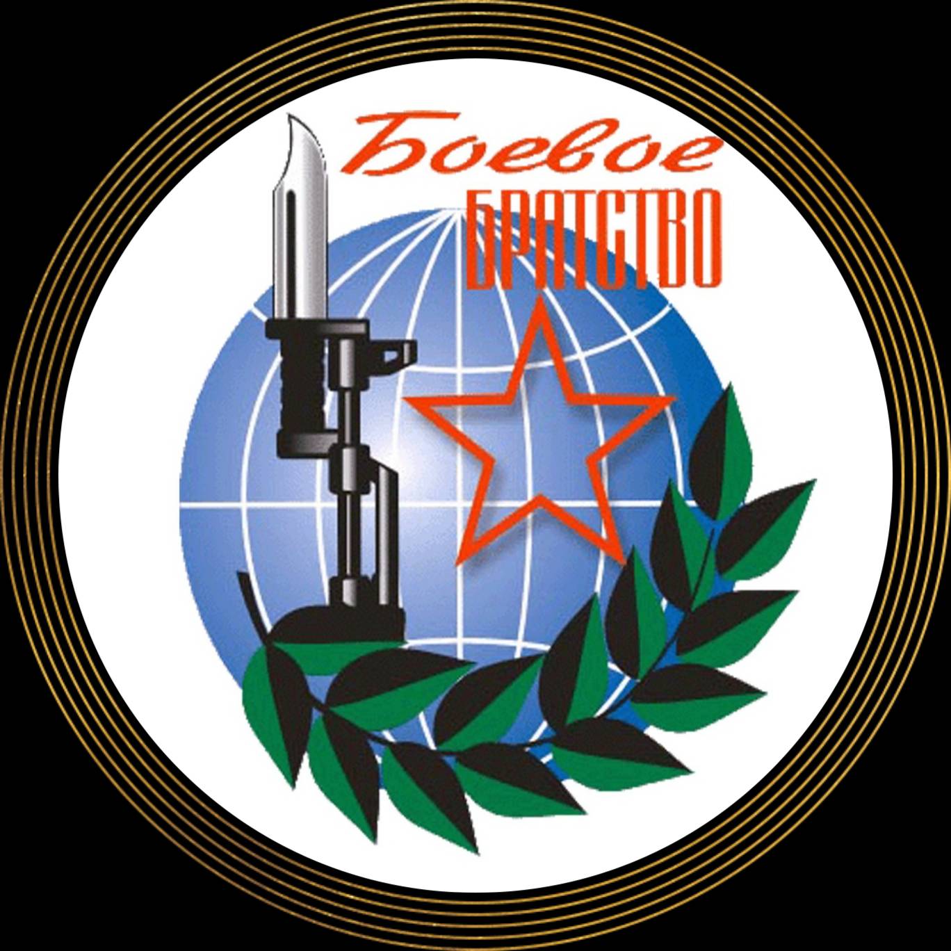 Иконка канала Боевое Братство Урала