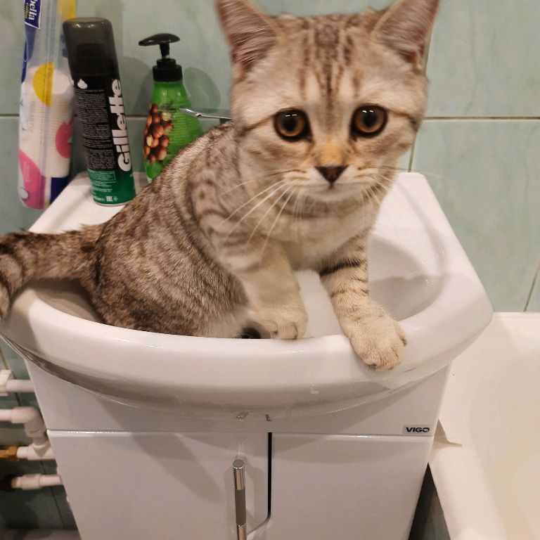 Иконка канала Тоники