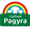 Иконка канала Грибная Радуга