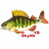 Иконка канала Окунь ТВ
