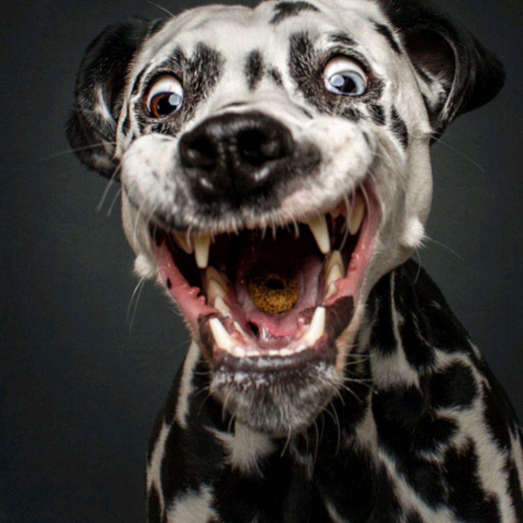 Иконка канала СмЕхОтА 😅😂🤣