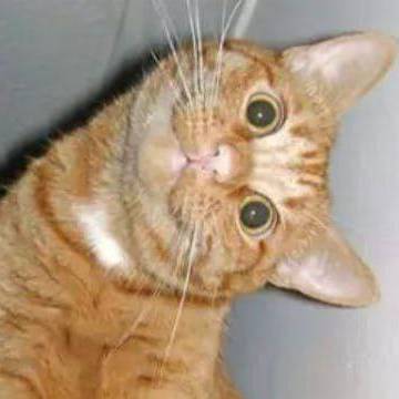 Иконка канала Путешествия, рыбалка, жизнь.