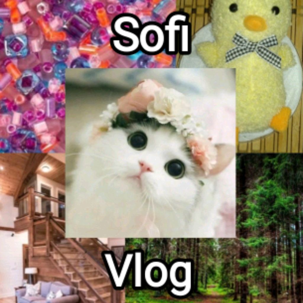 Иконка канала SofiVlog