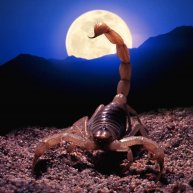 Иконка канала Marik