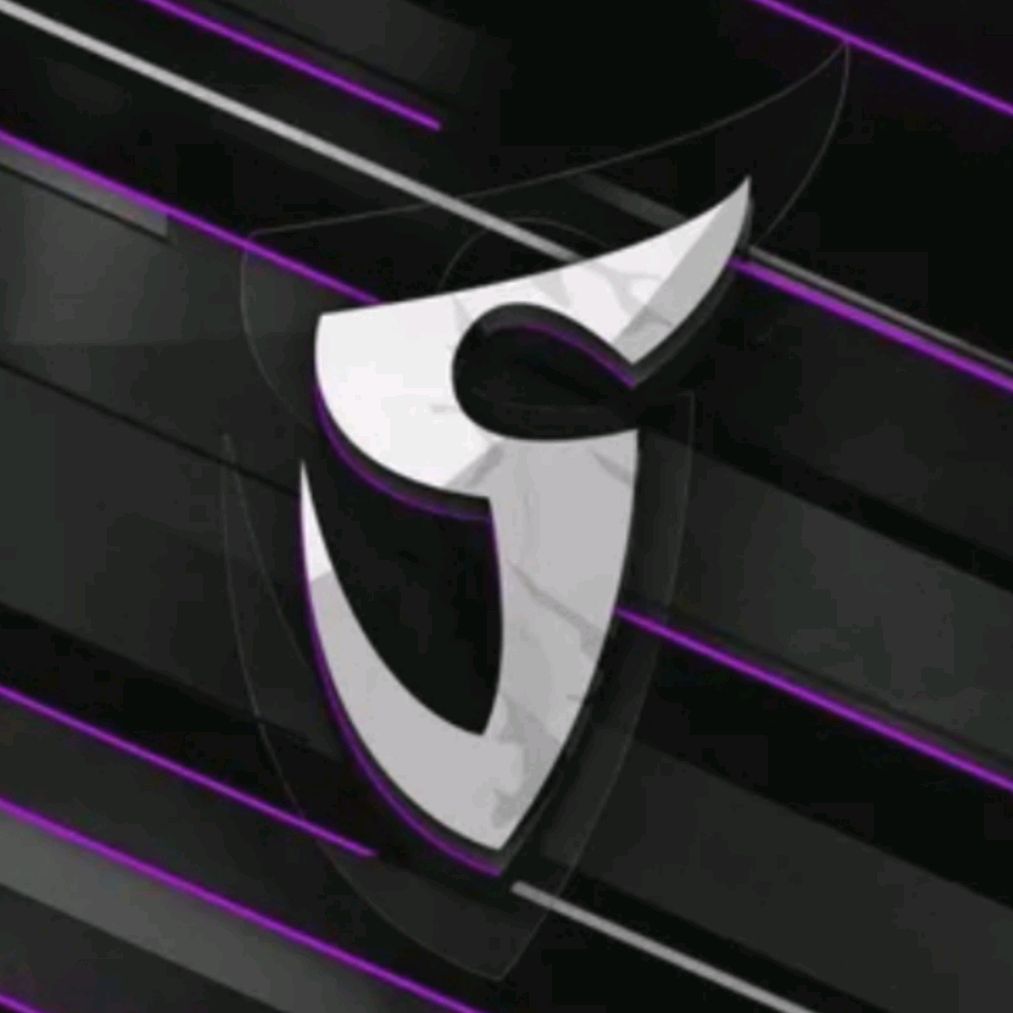 Иконка канала Mr.chapions