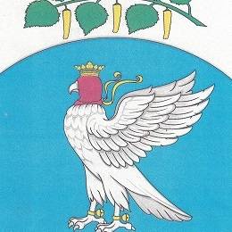 Иконка канала Березниковский сельский Дом культуры