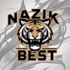 Иконка канала Nazik Best