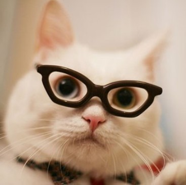 Иконка канала По факту