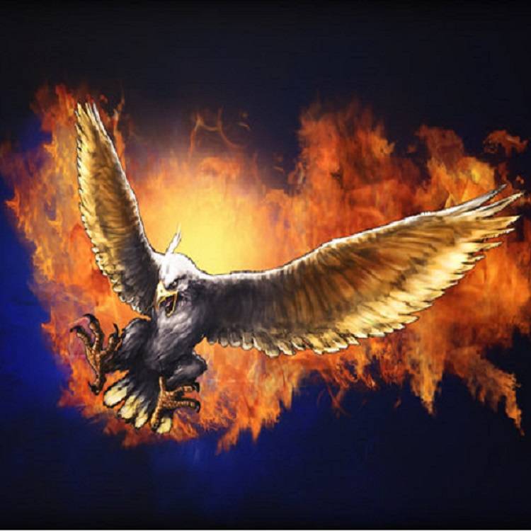 Иконка канала Sokol Free Channel