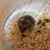 Иконка канала Хамак55k