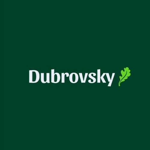 Иконка канала Инвестируй с Dubrovsky