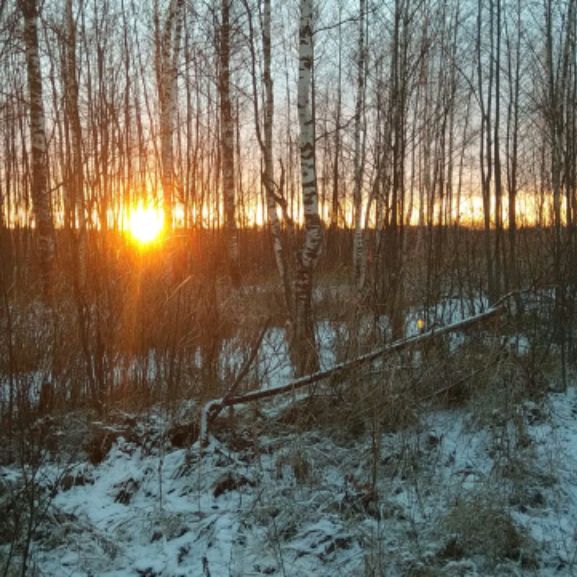 Иконка канала охота и приключения.