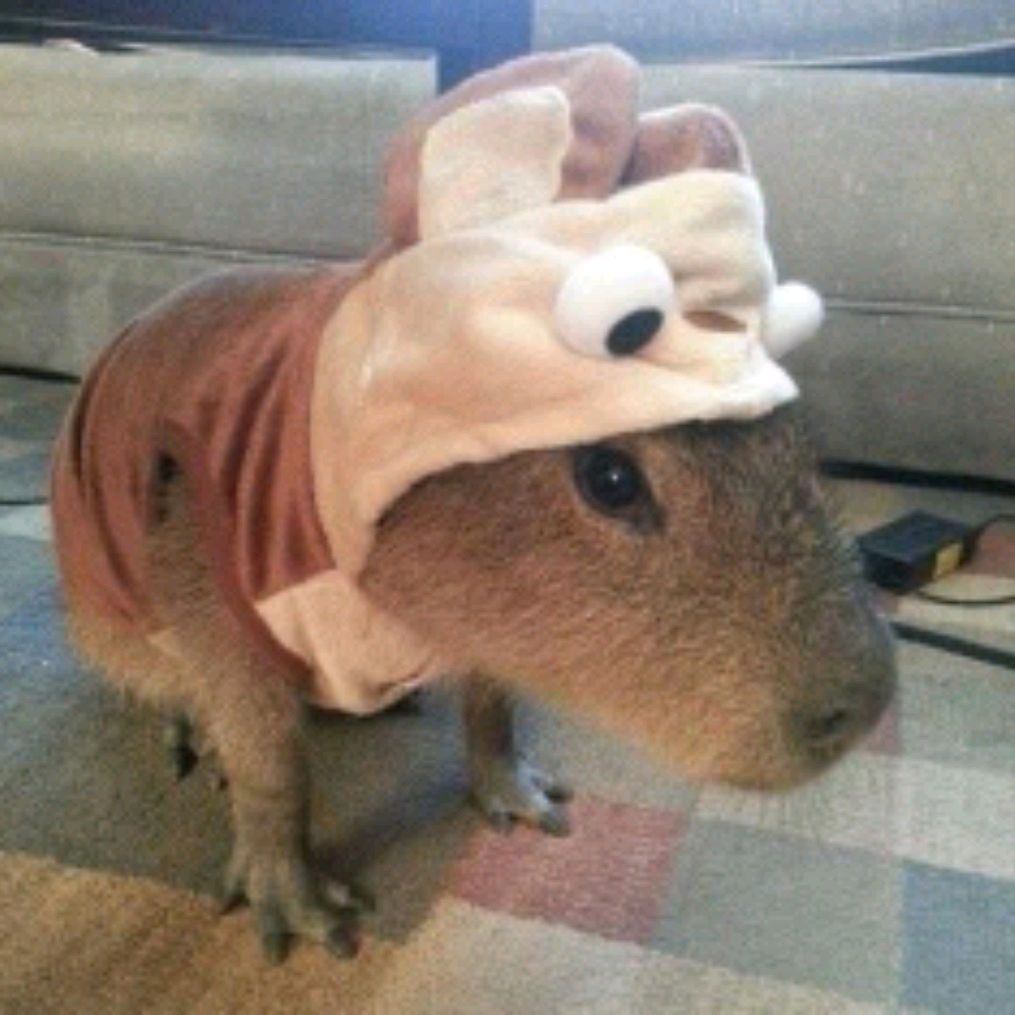 Иконка канала senjarin