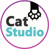 Иконка канала Cat Studio