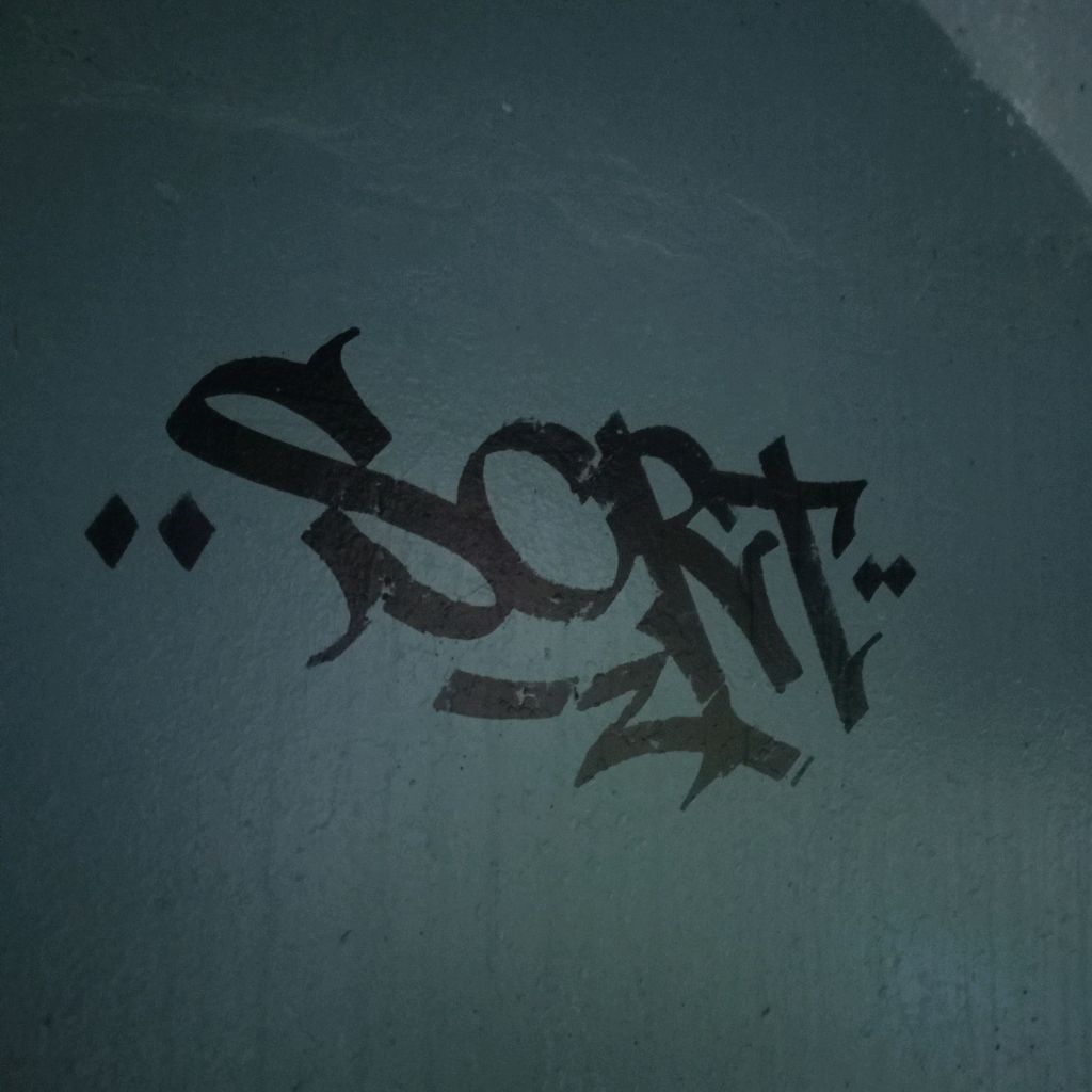 Иконка канала SORT