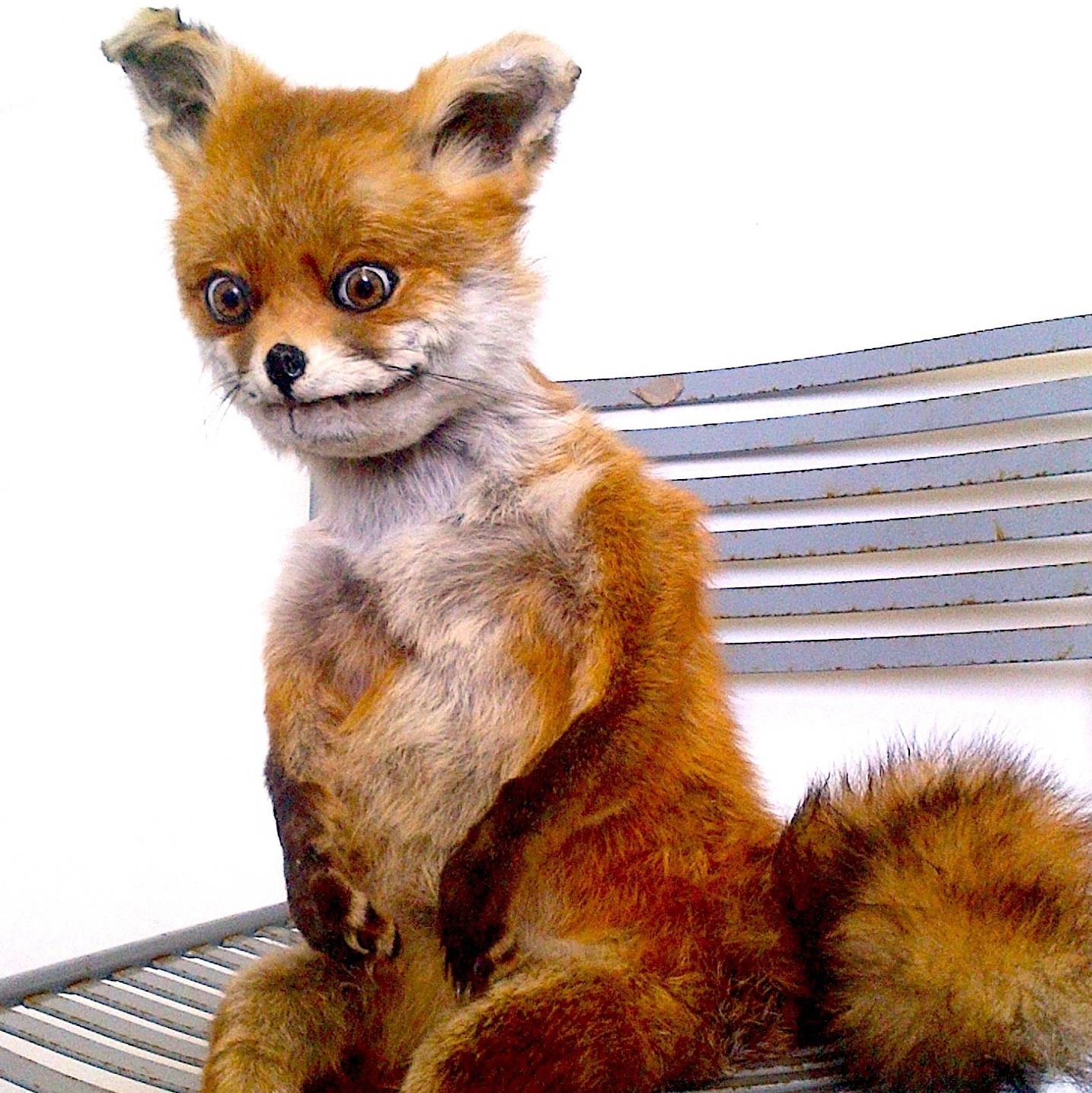 Иконка канала roma-lis