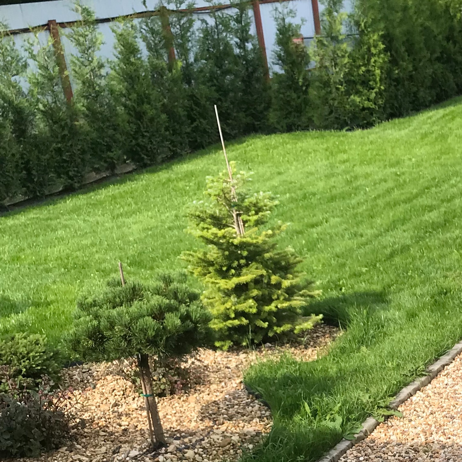 Иконка канала Миша Гарден