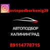 Иконка канала Автоподбор Калининград