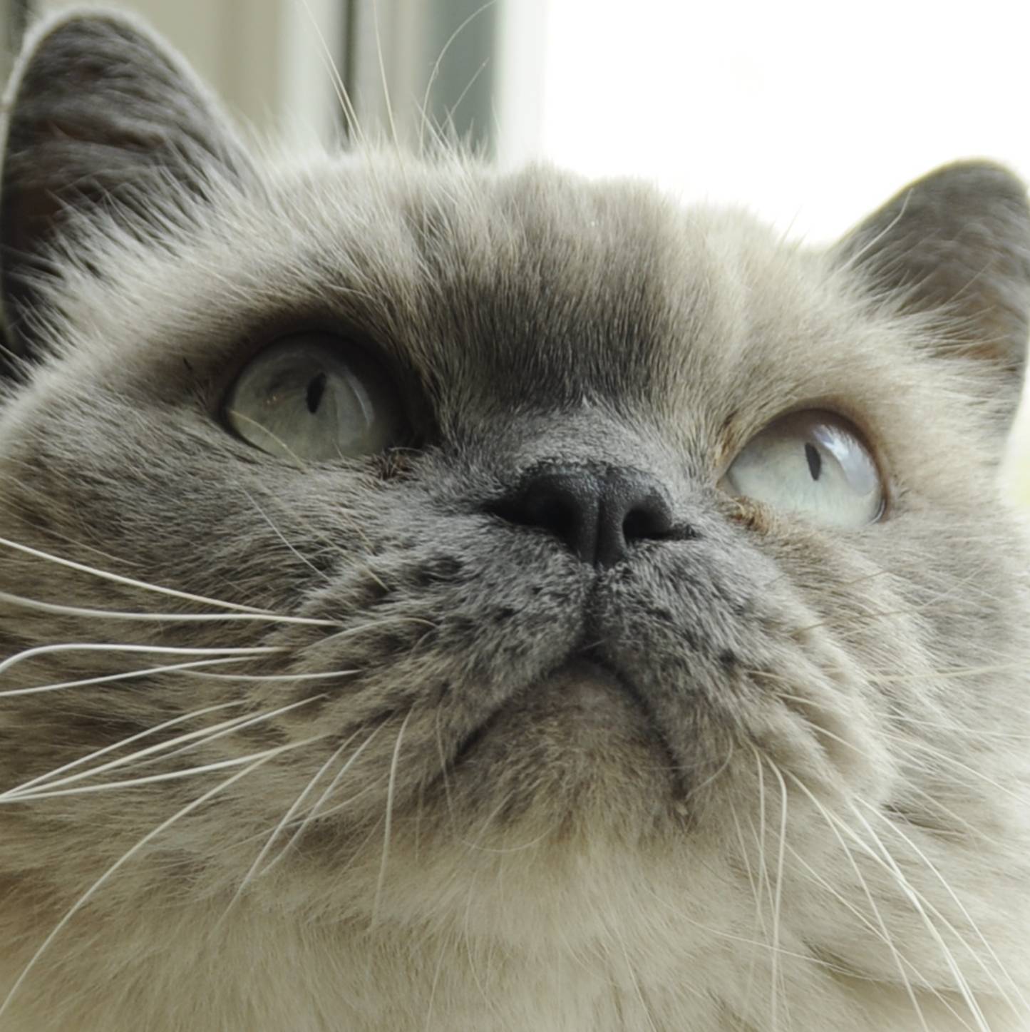 Иконка канала Со спортом на ты